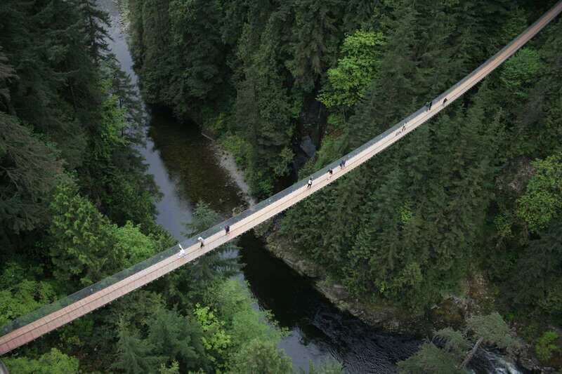 Vancouver: City Tour with Capilano Suspension Bridge - Authentic Experiences and Traveler Insights