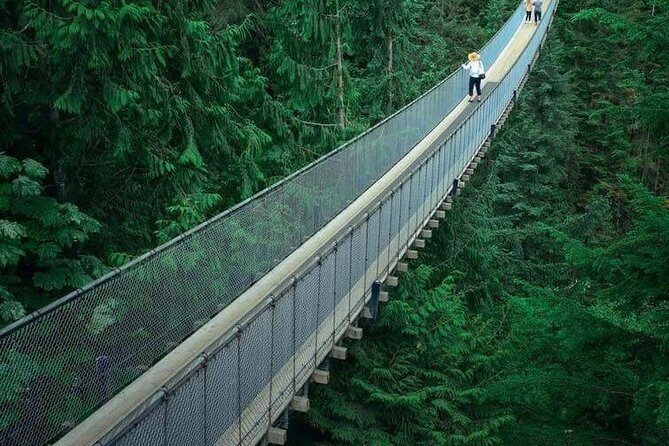 Vancouver City Tour With Stanley, Grouse Mountain & Capillano Suspension Private - A Deep Dive into Vancouver’s Private Tour