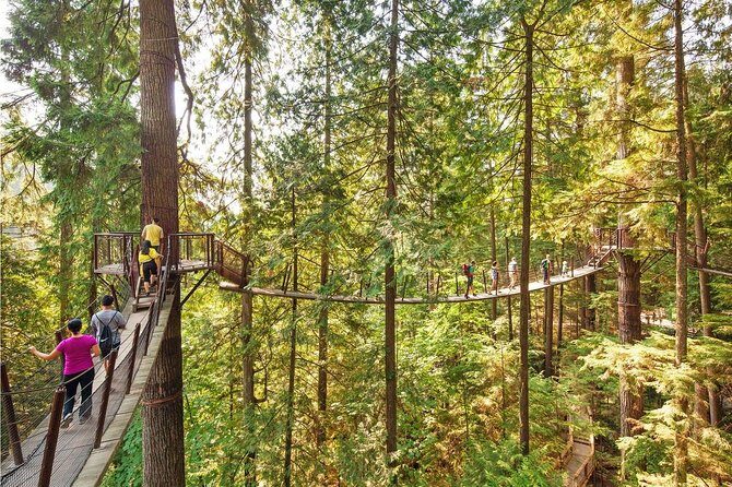 Vancouver City Tour With Stanley, Grouse Mountain & Capillano Suspension Private - Final Words