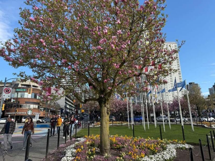 Vancouver City Tour+VipCar+Stanley Park+ChinaTown/SmallGroup - Final Thoughts