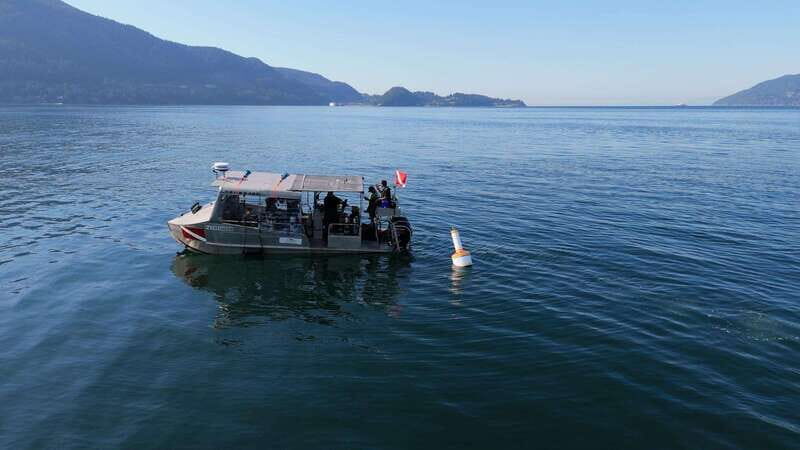 Vancouver: Discover the Best SCUBAdiving Sites by Boat - Final Thoughts