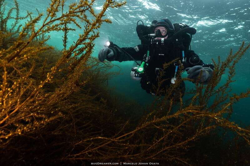 Vancouver: Discover the Best SCUBAdiving Sites by Boat - FAQs