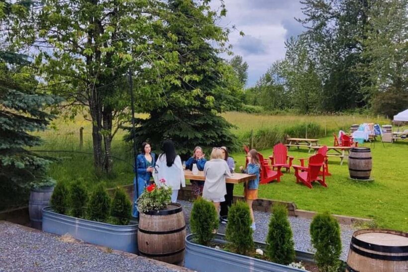 Vancouver: Fraser Valley and White Rock Wine Tour - The Transportation — Comfort and Convenience