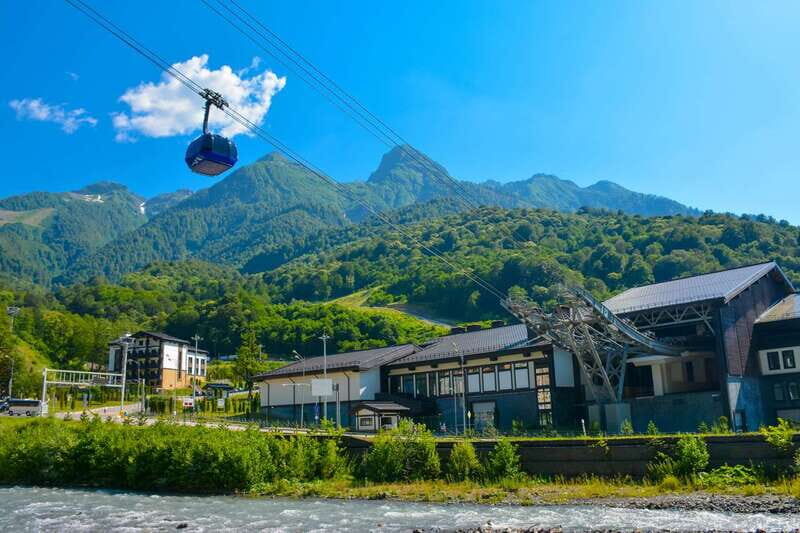 Vancouver: Grouse Mountain Express Tour with Skyride - Who Will Enjoy This Tour?