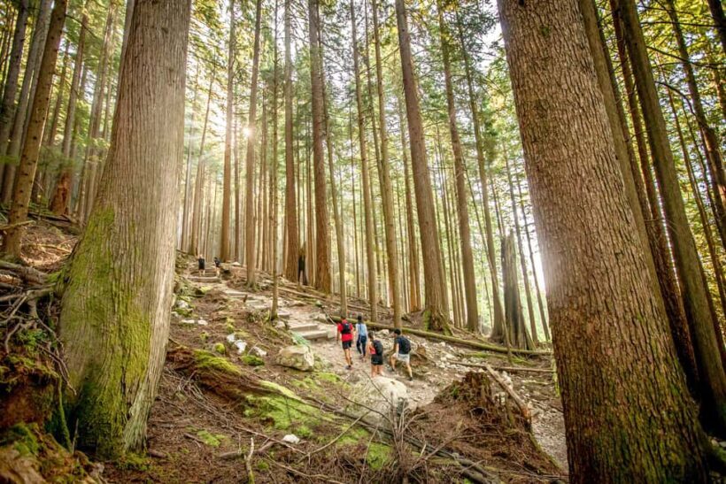 Vancouver: Guided Hiking Highlights at Grouse & Lynn Canyon - Exploring Vancouver’s North Shore in Depth