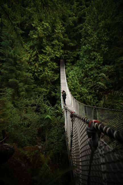 Vancouver: Guided Hiking Highlights at Grouse & Lynn Canyon - Authentic Feedback from Participants