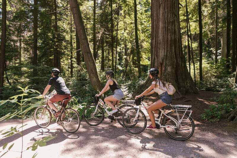 Vancouver: Half-Day City Highlights E-Bike Tour Age 16+ - An Introduction to Vancouver’s Highlights on Two Wheels