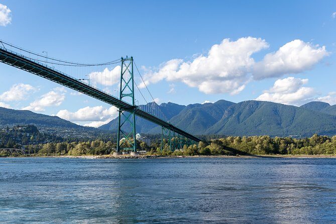 Vancouver Half-Day Whale Watching Adventure with Free Photos - The Experience in Detail