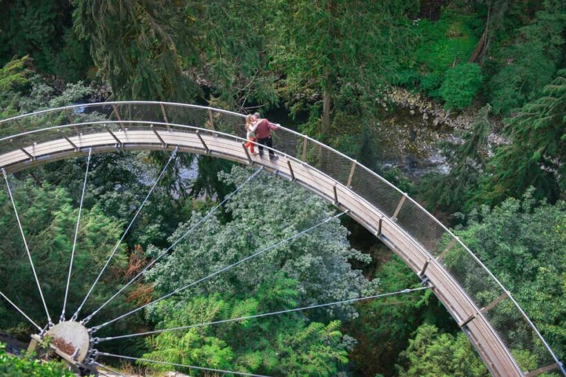 Vancouver Highlights: Capilano Bridge & Granville Island - What Makes This Tour a Good Choice?
