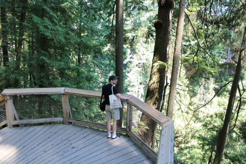 Vancouver Highlights: Capilano Bridge & Granville Island - The Experience: What It Feels Like