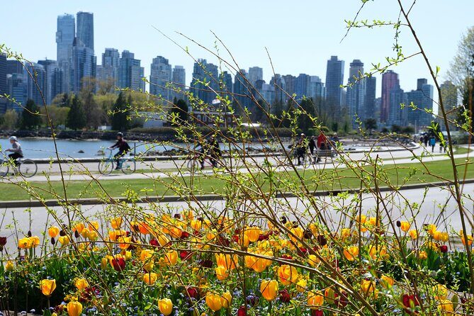 Vancouver Hop On Hop Off Trolley Tour - The Sum Up