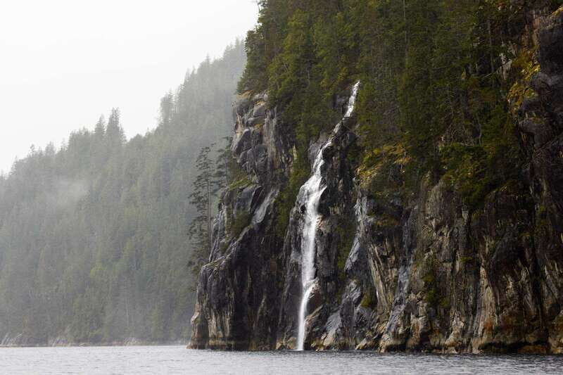 Vancouver Island: Full-Day Grizzly Bear Tour at Toba Inlet - FAQ