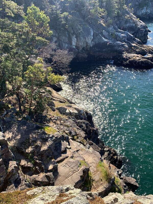 Vancouver: Lighthouse Park Hike - The Picnic Experience