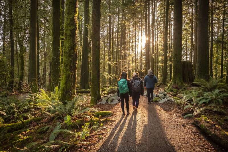 Vancouver: Lynn Valley Suspension Bridge & Nature Walk Tour - An Authentic Peek into Vancouver’s Forests