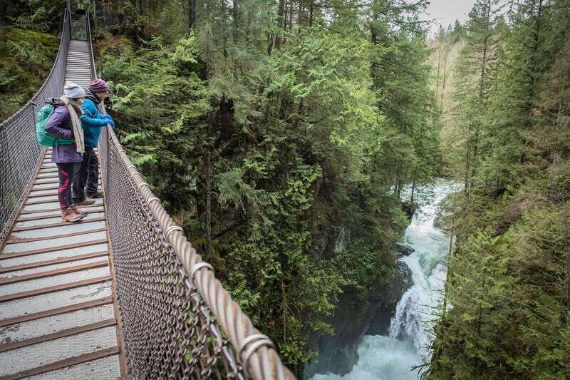 Vancouver: Lynn Valley Suspension Bridge & Nature Walk Tour - Authentic Experiences Based on Review Insights