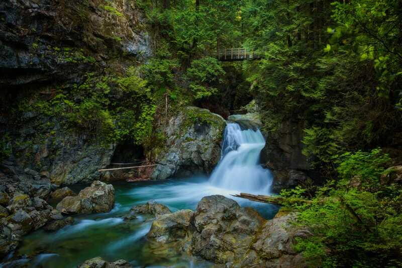 Vancouver: Lynn Valley Suspension Bridge & Nature Walk Tour - Who Will Love This Tour?