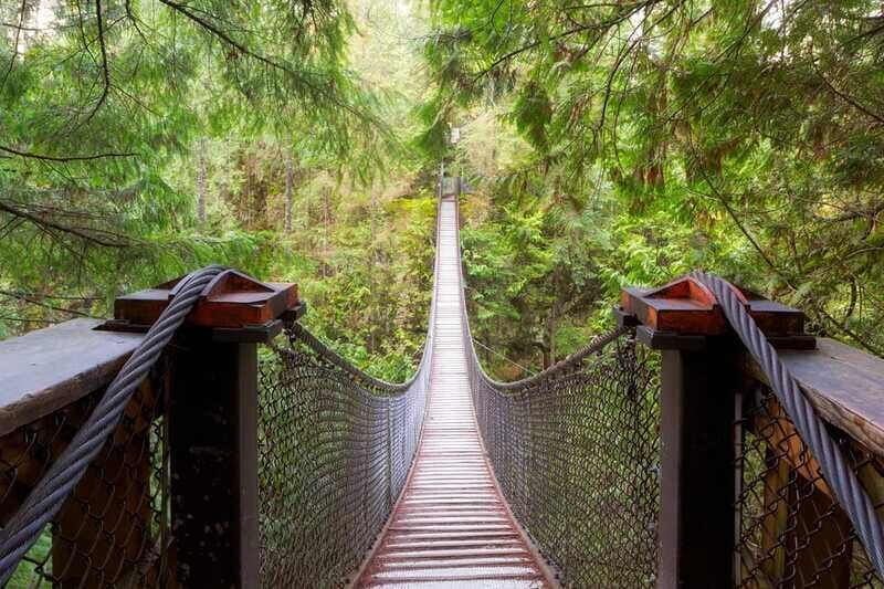 Vancouver: Lynn Valley Suspension Bridge & Nature Walk Tour - The Sum Up