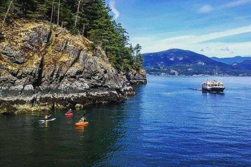 Vancouver: Morning Kayak & Seal Cruise - Vancouver: Morning Kayak & Seal Cruise — An Authentic Water Adventure