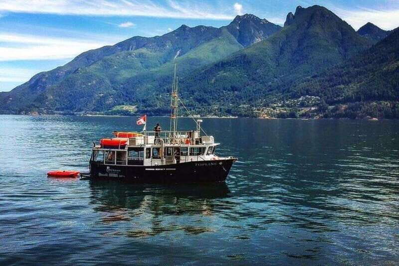 Vancouver: Morning Kayak & Seal Cruise - Value and Practicalities