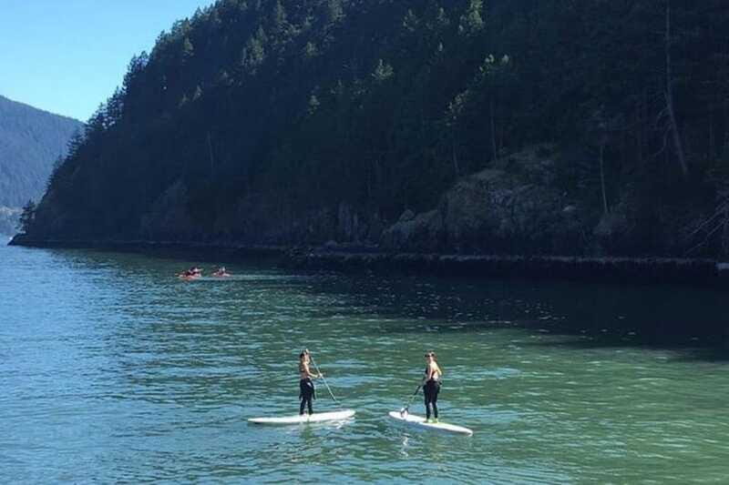 Vancouver: Morning Kayak & Seal Cruise - Who Is This Tour Best For?