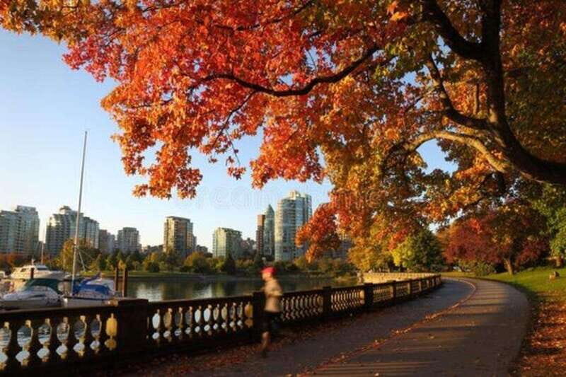 Vancouver : Must-See Attractions Walking Tour With A Guide - What to Expect from the Tour