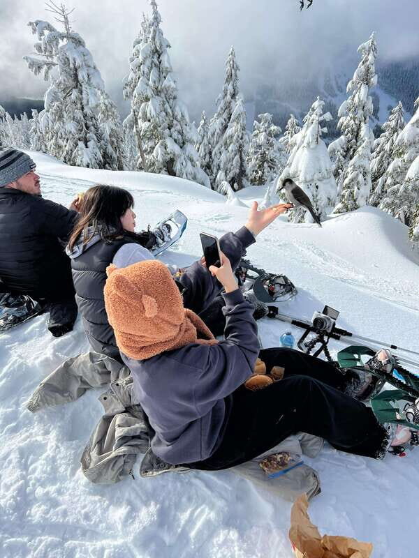 Vancouver: North Shore Mountains Snowshoeing with Transfer - Who Will Love This Tour?