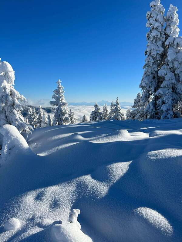 Vancouver: North Shore Mountains Snowshoeing with Transfer - FAQ