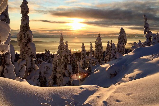 Vancouver Panoramic View Hike - Key Points