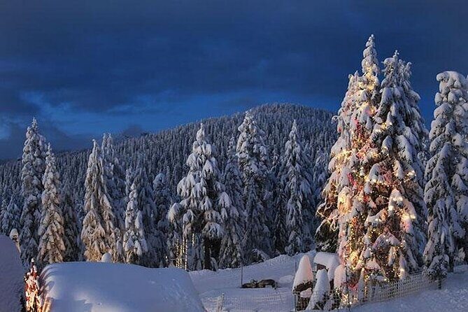 Vancouver Pre & Post Cruise Capilano & Grouse mountain tour - FAQ