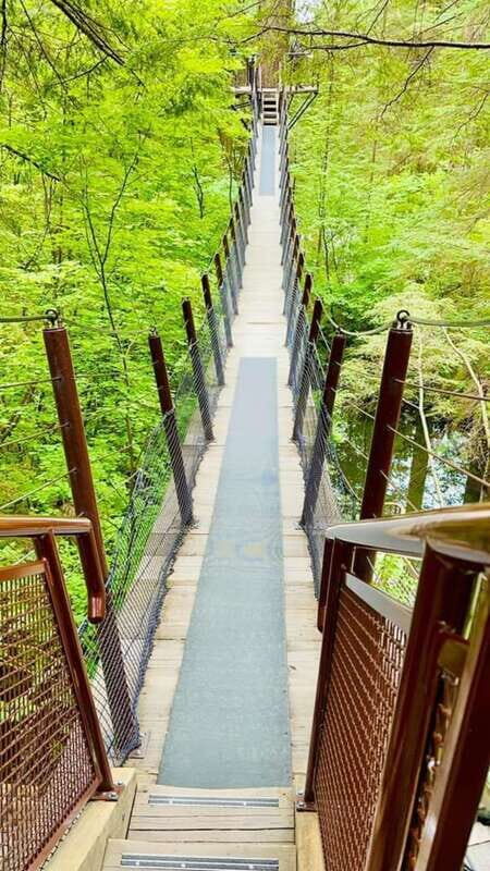 Vancouver: Private Tour City Sights, FlyOver & Capilano - Key Points