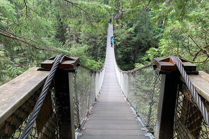 Vancouver Rainforest Hike with Waterfalls, Suspension Bridge, Old Growth Forest - Introduction: What You Can Expect