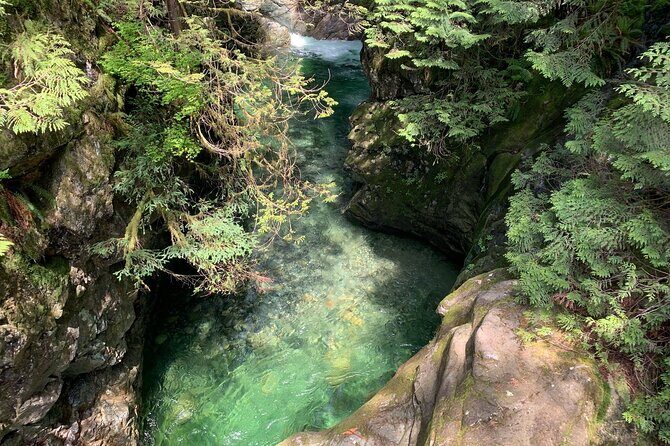 Vancouver Rainforest Hike with Waterfalls, Suspension Bridge, Old Growth Forest - What to Expect: Conditions and Comfort