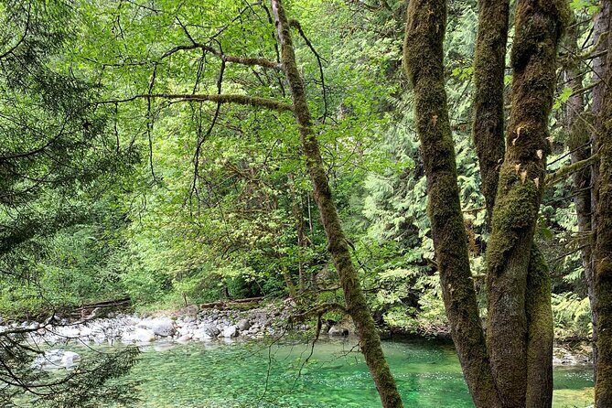 Vancouver Rainforest Hike with Waterfalls, Suspension Bridge, Old Growth Forest - The Sum Up: Who Will Appreciate This Tour?