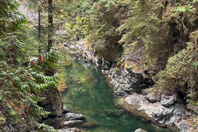 Vancouver Rainforest Hike with Waterfalls, Suspension Bridge, Old Growth Forest - Frequently Asked Questions