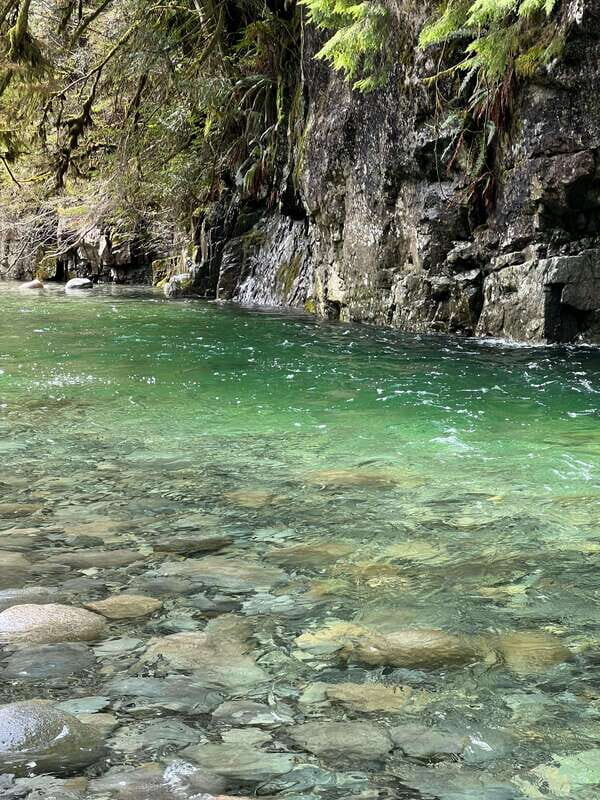Vancouver: Rainforest Waterfall Hike and Suspension Bridge - Crossing the Suspension Bridge: A Thrilling Highlight