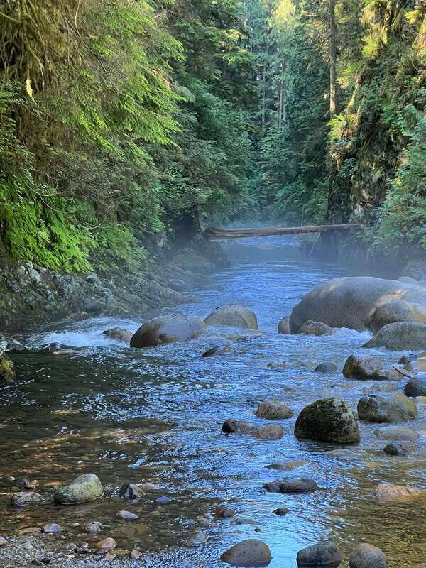 Vancouver: Rainforest Waterfall Hike and Suspension Bridge - Close Encounters with Water and Nature