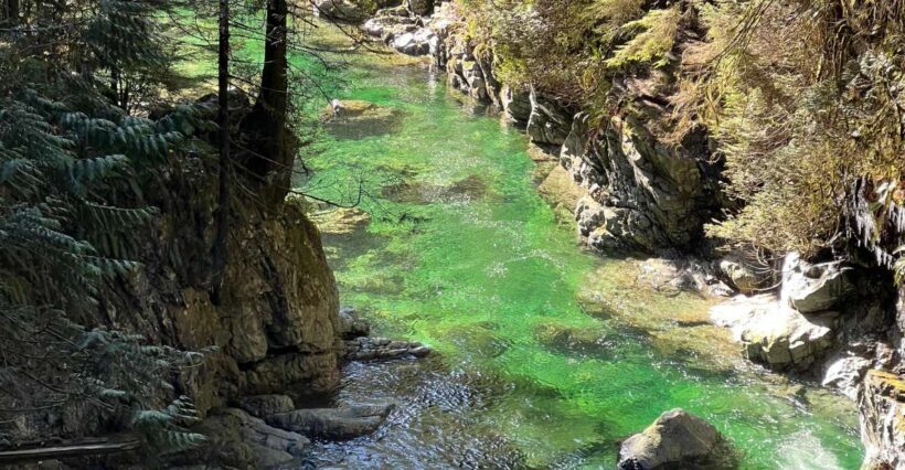 Vancouver: Rainforest Waterfall Hike and Suspension Bridge - Is It Worth the Price?