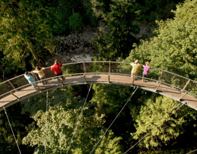 Vancouver: Small Group Tour w/Capilano & Grouse Mtn Lunch - Why This Tour Offers Value