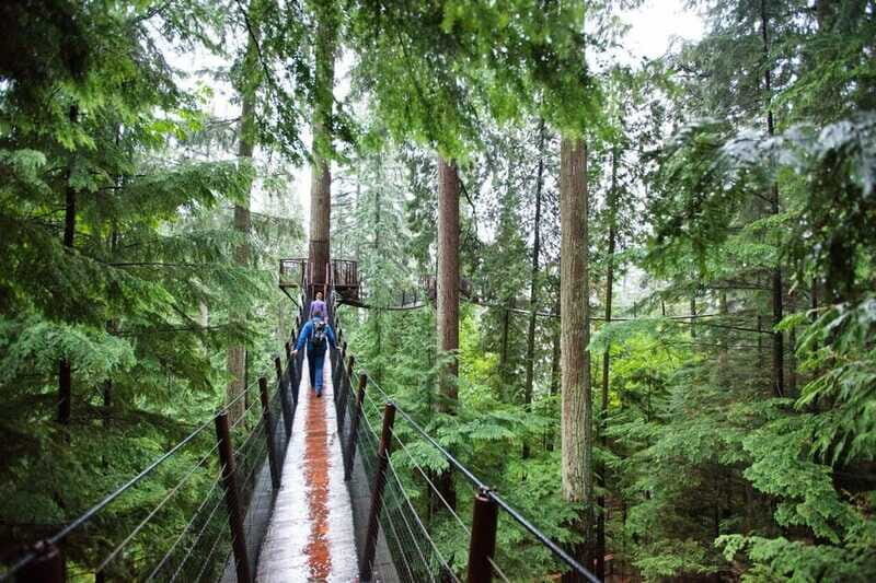 Vancouver: Small Group Tour w/Capilano & Grouse Mtn Lunch - Final Thoughts