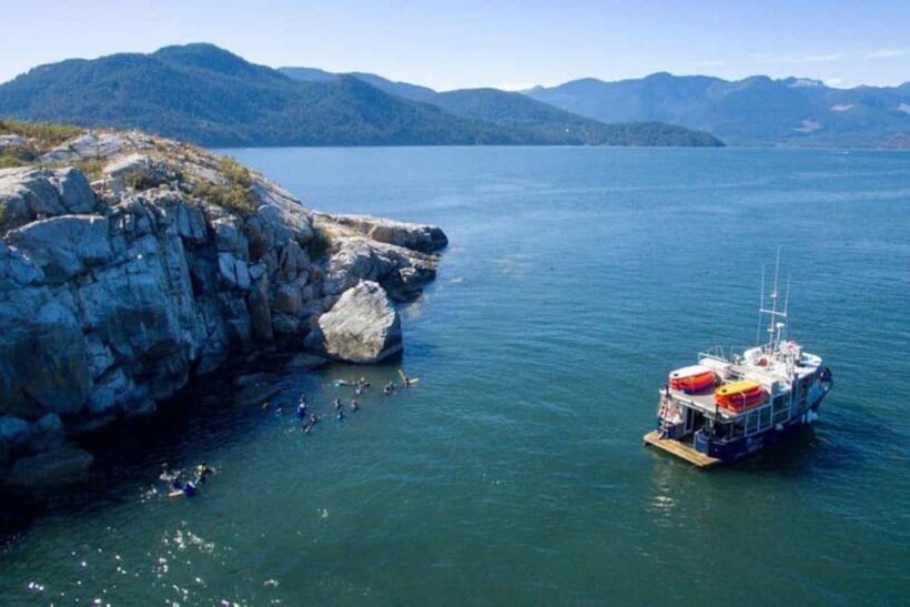 Vancouver: Snorkel, Kayak, and Seal Adventure Boat Tour - Frequently Asked Questions