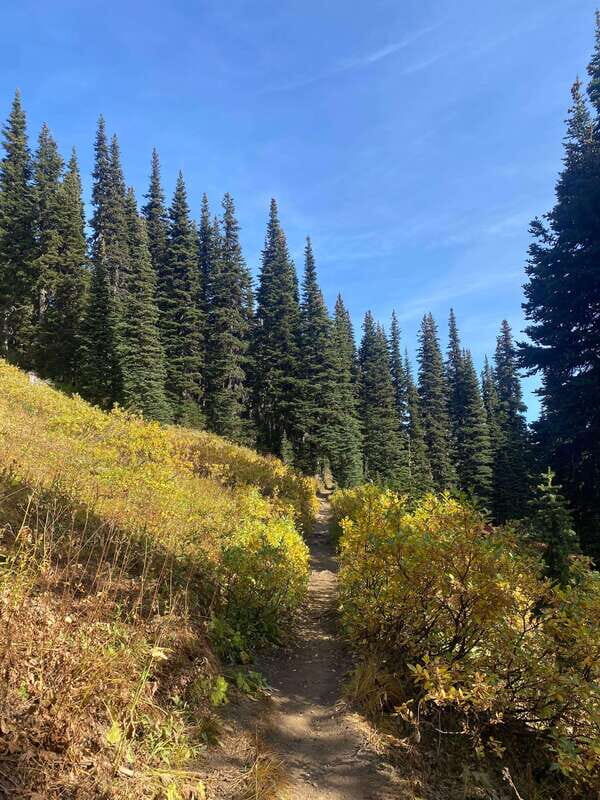 Vancouver/Squamish: Garibaldi Park Panorama Ridge Hike - An In-Depth Look at the Garibaldi Park Panorama Ridge Hike