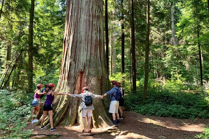 Vancouver Stanley Park 3 Hour Bike Tour - The Sum Up