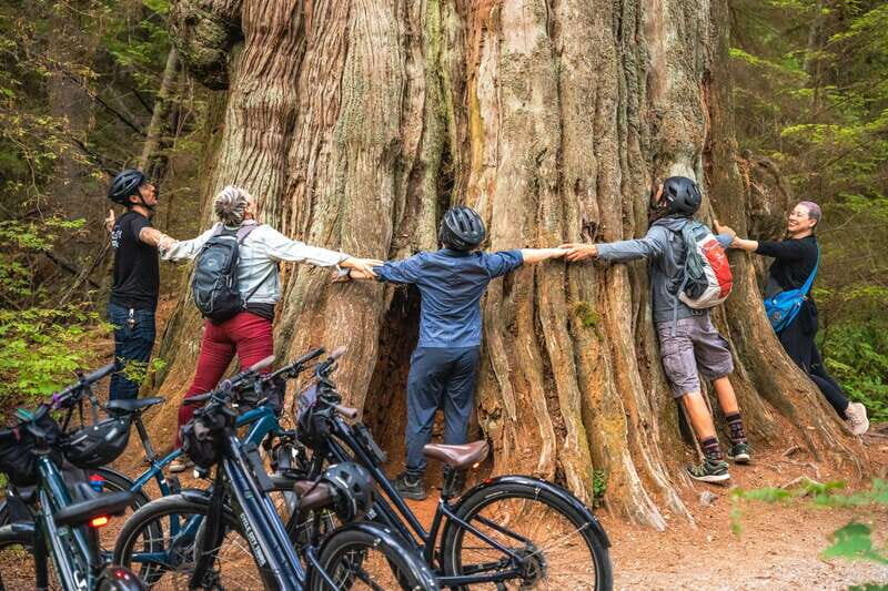 Vancouver: Stanley Park Bicycle Tour - Key Points