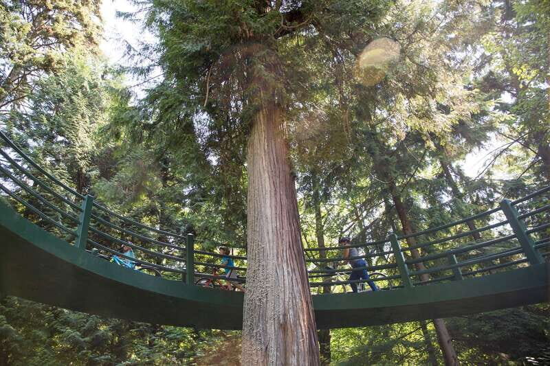 Vancouver: Stanley Park Bicycle Tour - Value and Practical Details