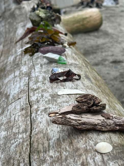 Vancouver: Stanley Park Salish Sea & Me - Exploring the Experience: What to Expect