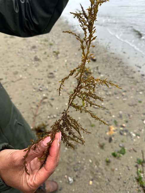 Vancouver: Stanley Park Salish Sea & Me - FAQ