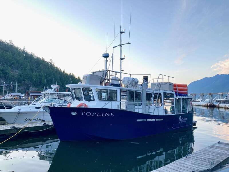 Vancouver: Sunset Boat Cruise with Complementary Bubbly - Key Points