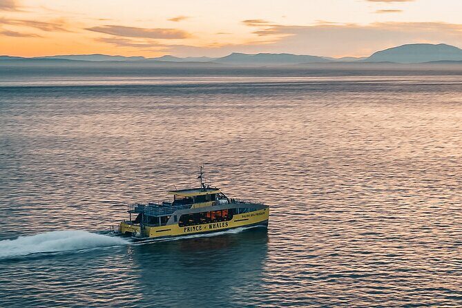 Vancouver Sunset Whale Watching Adventure with Free Photos - The Itinerary: What You Can Expect