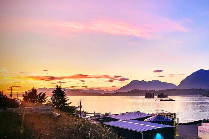 Vancouver to Tofino 2 Day Tour Private - An In-Depth Look at the Tour