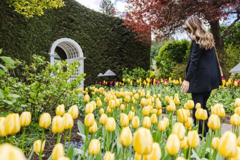 Vancouver to Victoria Seaplane Day Trip + Butchart Gardens - What Reviewers Say